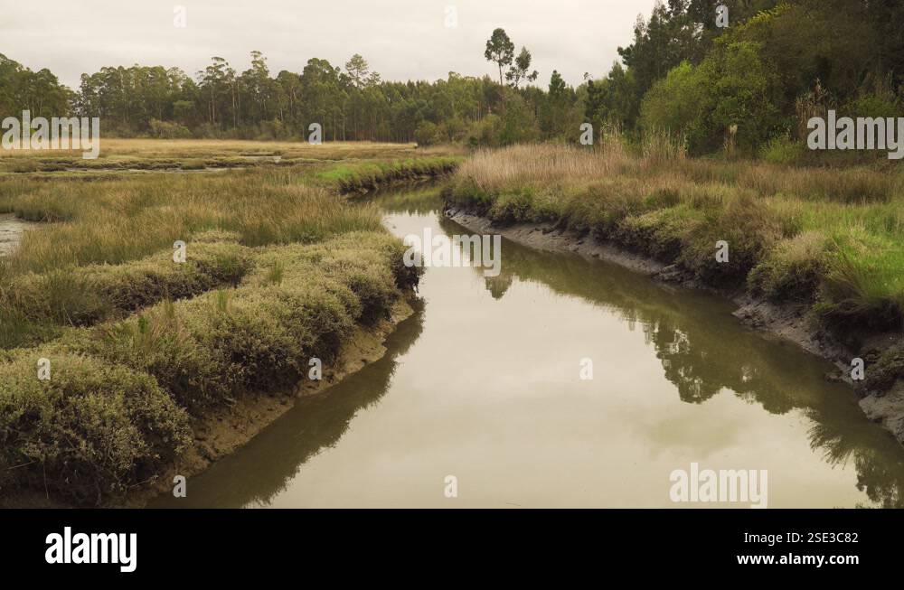 4K muddy river bed in a low tide with some water flowing down the river ...