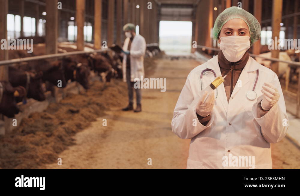 Female Doctor with Syringe on Farm Stock Video Footage - Alamy