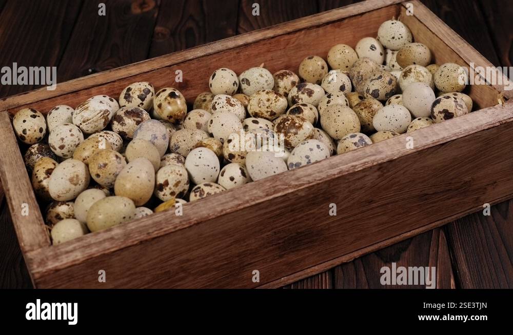 Lots of quail eggs in a wooden box in a farmer's grocery store Stock ...