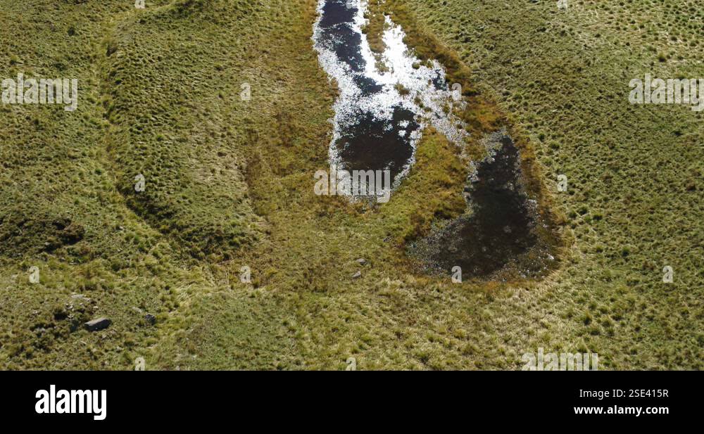 Small Pond on meadows, Aerial top down view of grassland with small ...