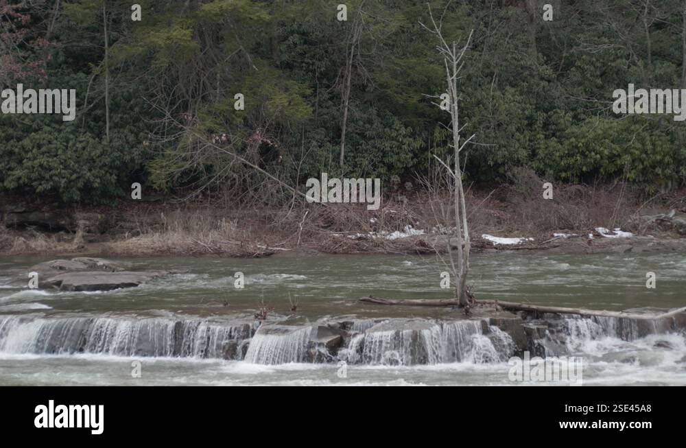 Wide river flowing over a natural weir with a goose flying past Stock ...