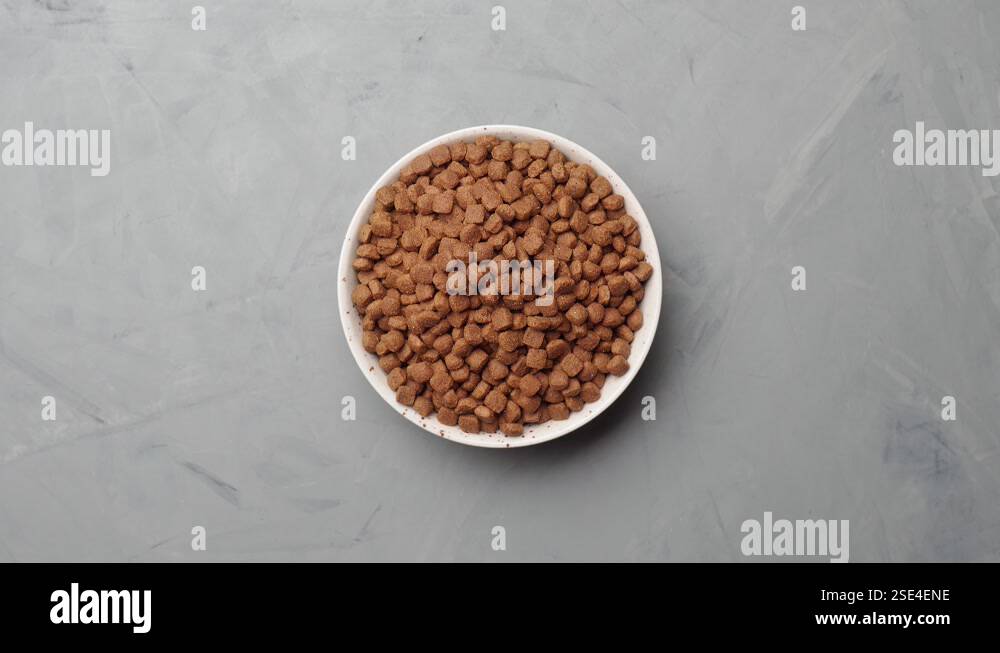 Dry cat food in a plate loop rotates. Top view Stock Video Footage - Alamy