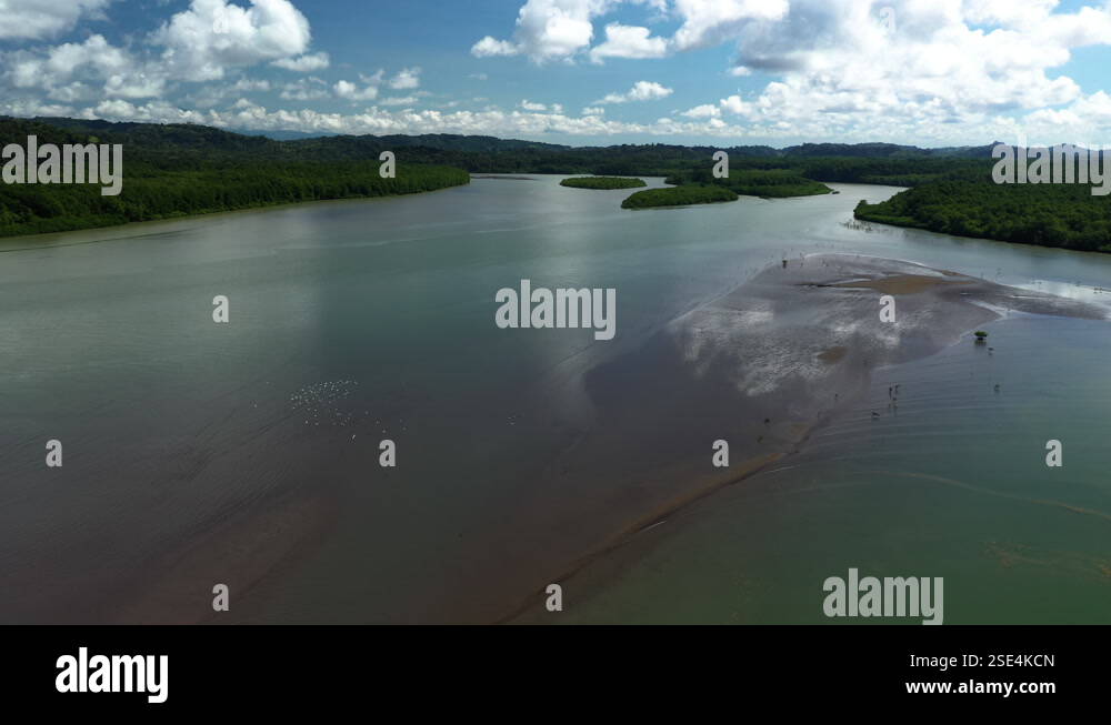 River mouth with mangroves sandy islands birds flying aerial Costa Rica ...
