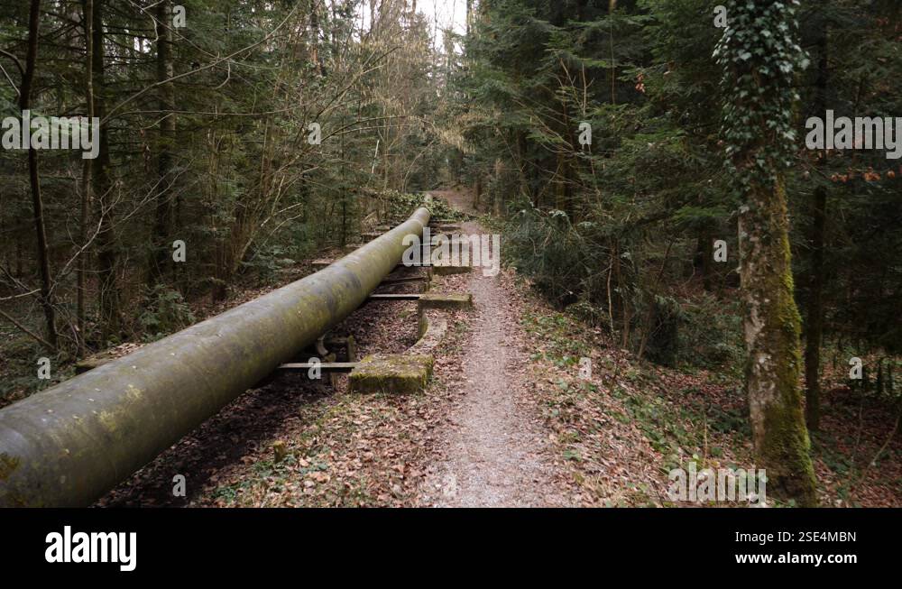 Old, rusty, pipeline in a moody forest in Switzerland, forward dolly ...