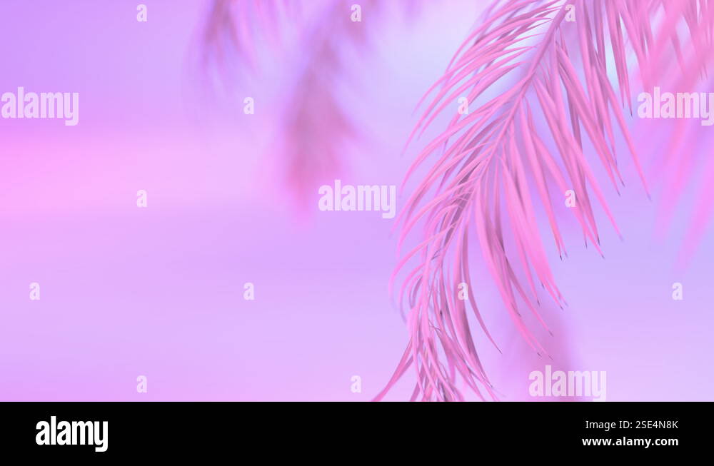 Animation of Pink palm tree. Soft violet sky. Susnet background Stock ...