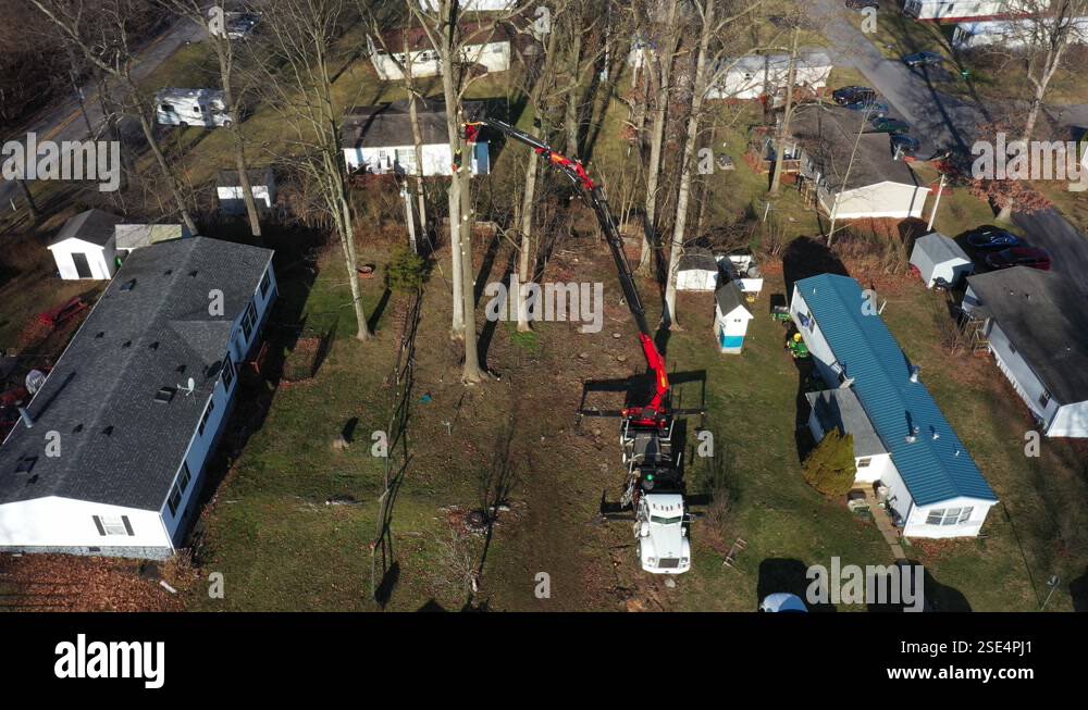 Trees cutting with a person high in the tree and a extended boom ...