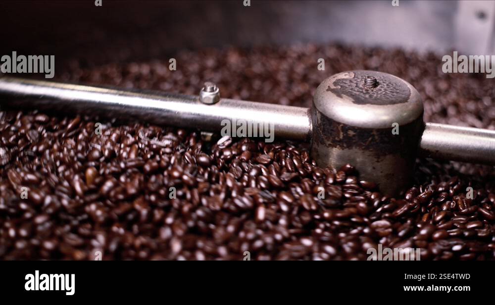 Dark oily coffee beans fresh from the roaster are stirred to cool and ...