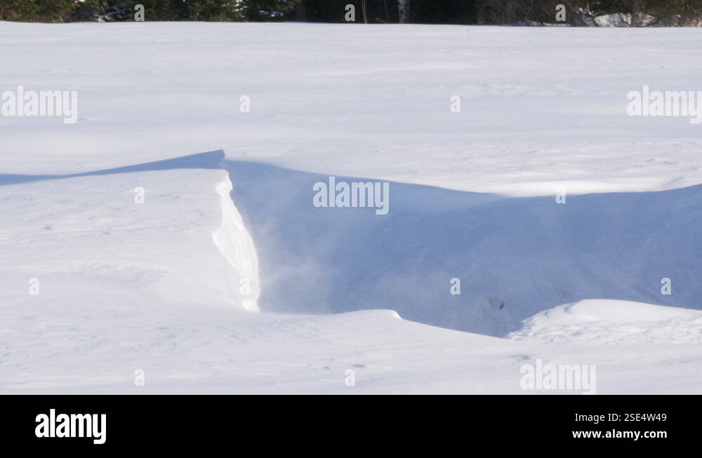 Snow blizzard and strong wind in the winter field Stock Video Footage ...