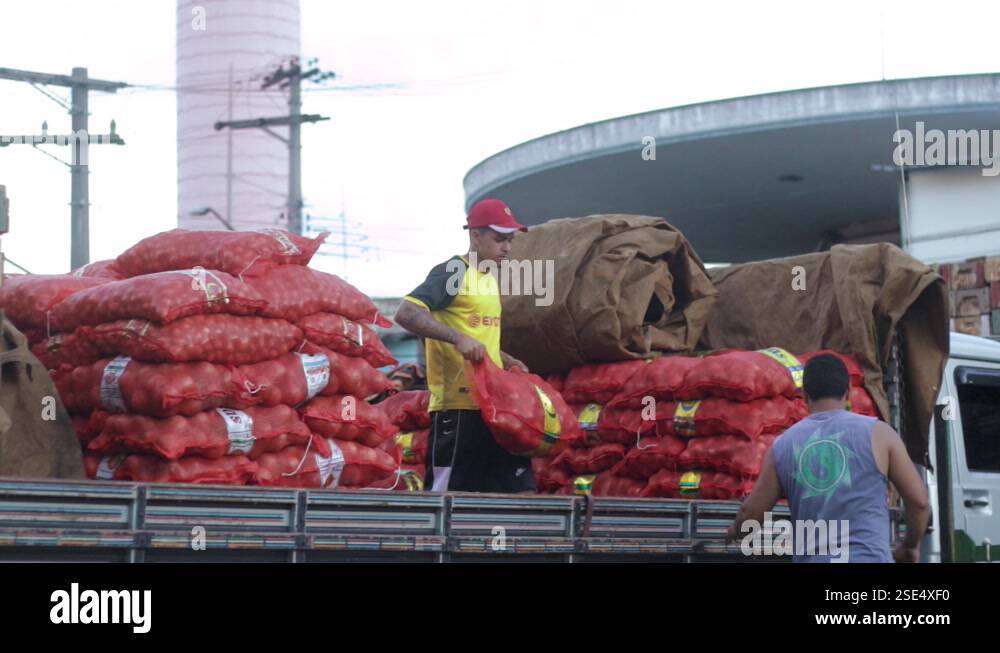 Vegetable carrier Stock Videos & Footage - HD and 4K Video Clips - Alamy