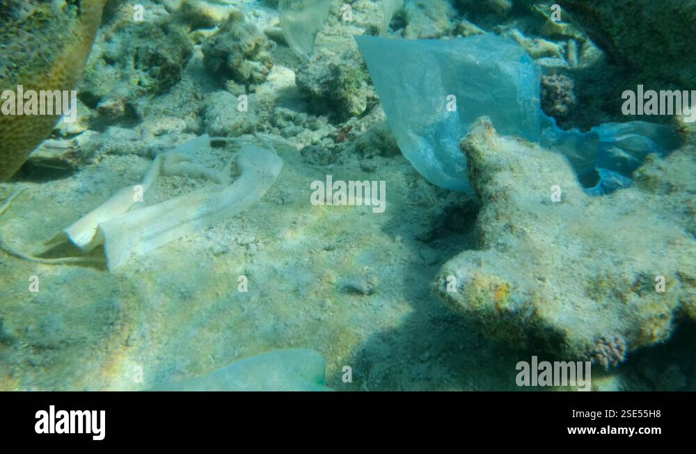 A lot of plastic garbage on corals sea bottom. Plastic pollution of ...