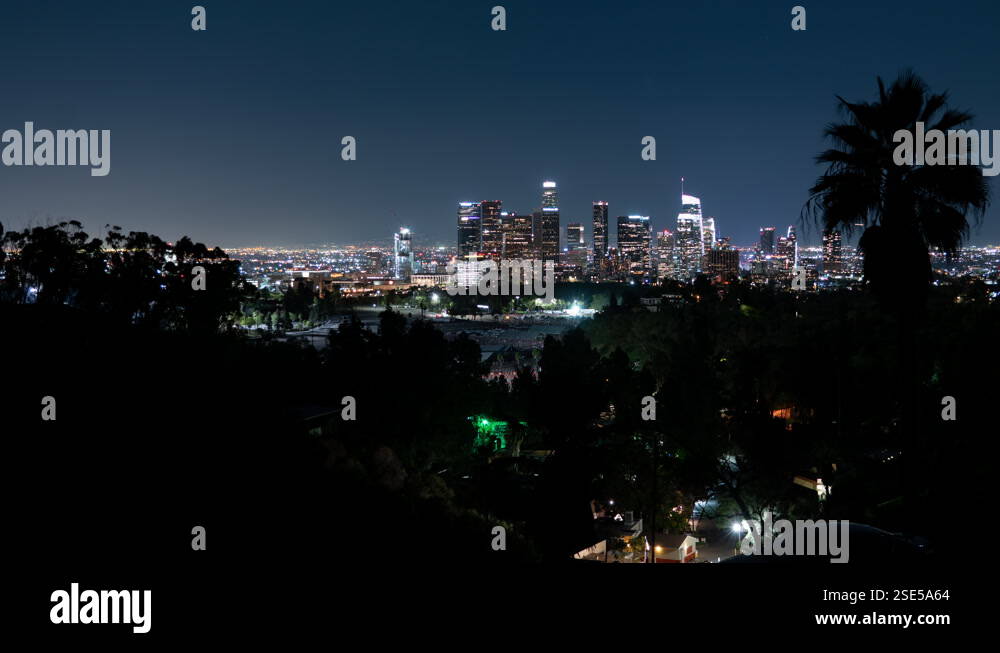 Los Angeles Cityscape and Palm Trees from Angeles Point Elysian Park ...
