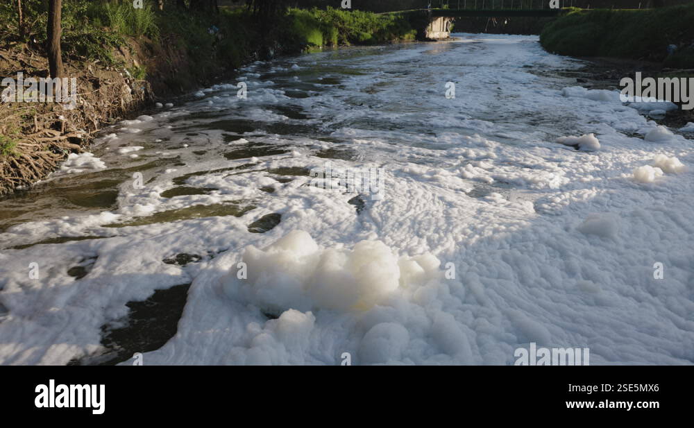 Water pollution. Excess nitrates and raw sewage causes toxic foam on ...