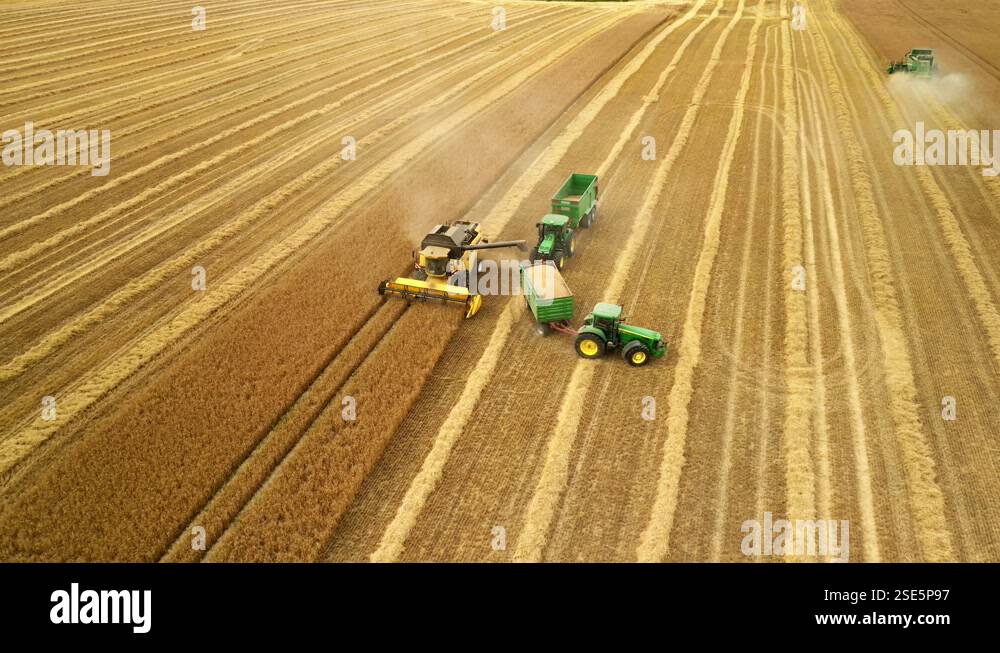 Combine harvester gathering wheat loading Stock Videos & Footage - HD ...