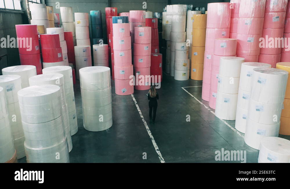 Female paper mill worker inspecting a paper roll storage Stock Video ...