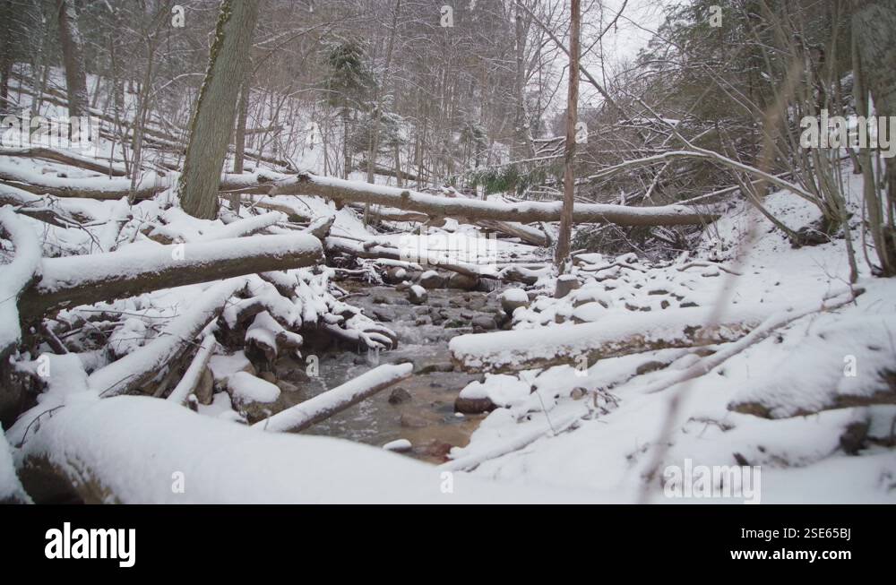 Water Falling in Cascades on a Shallow River with Falen Trees in a ...
