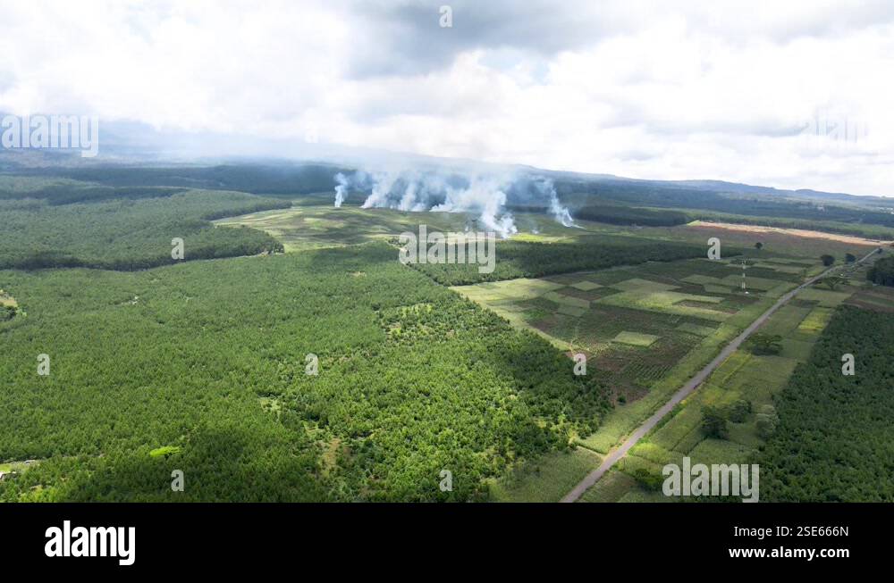 Drone view- Africa Forest- Africa bush fire. Bush fire on slopes of ...