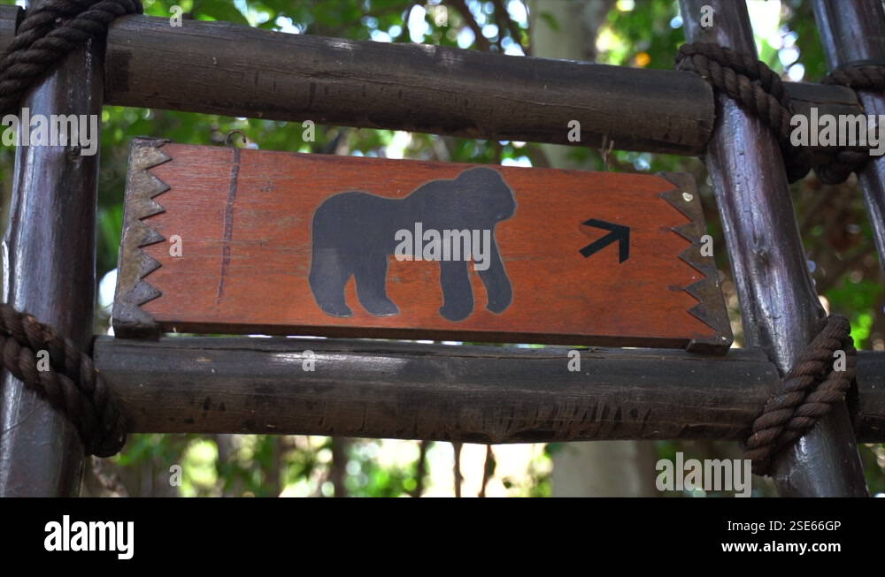 Gorilla enclosure, directional wooden signage at zoo, panning shot left ...