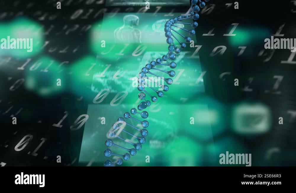 Dna structure spinning over screens on medical data processing against ...
