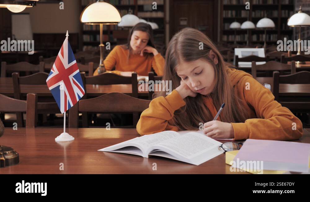 Two people sitting in the library and preparing for exams Distance ...
