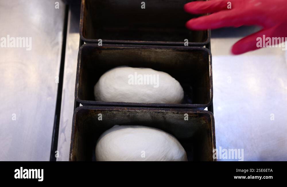 Dough in a bread baking dish. Bakery baking process in factory. Bakery ...