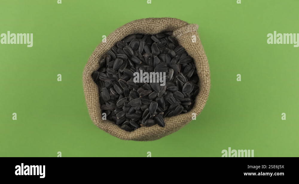 Rotation of a full sack of sunflower grain. Top view. Isolated Stock ...