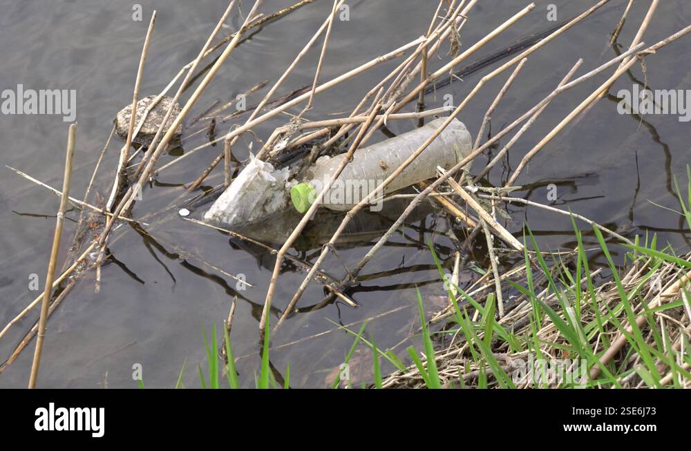 Plastic Bottle And Trash In Stream Water - Water Pollution In ...