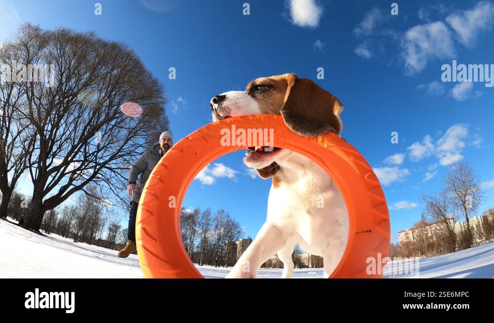 Grab ring Stock Videos & Footage - HD and 4K Video Clips - Alamy
