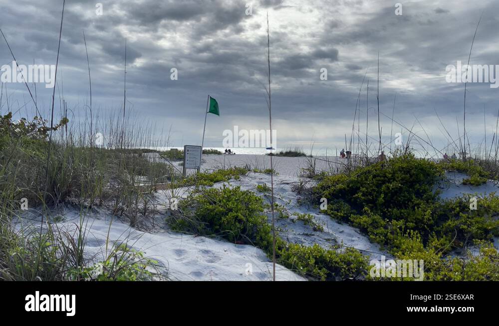 Green beach warning flag and sign indicating ocean water is safe for ...