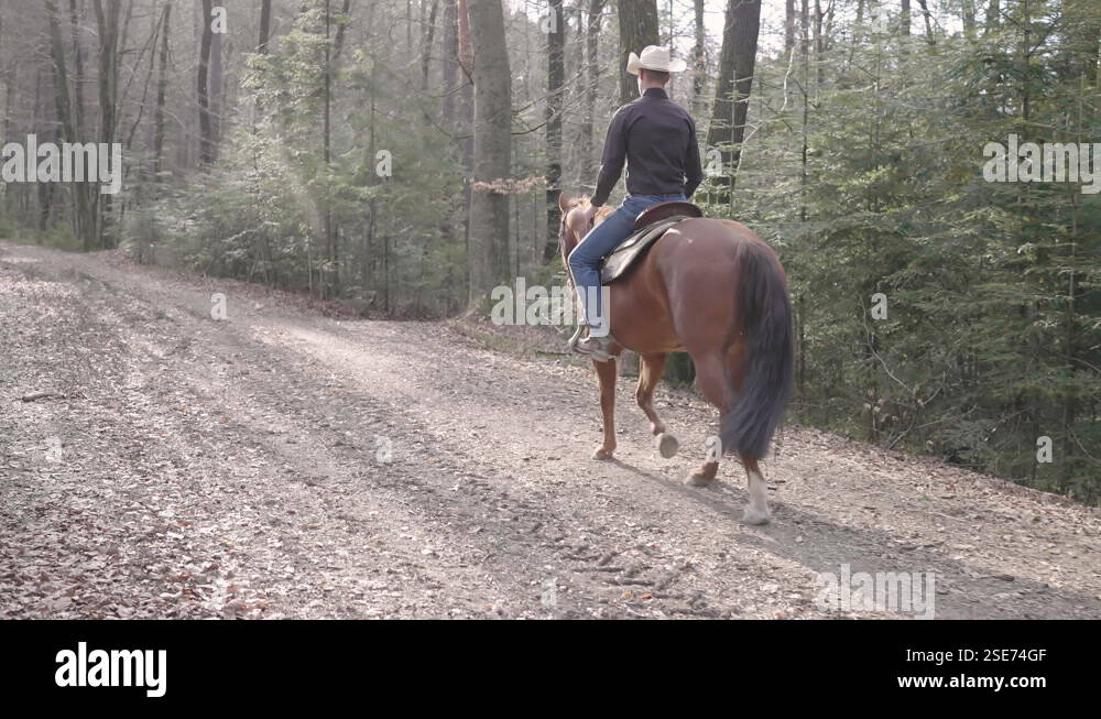 Cowboy riding horse on forest trail under the sun 4K Stock Video ...