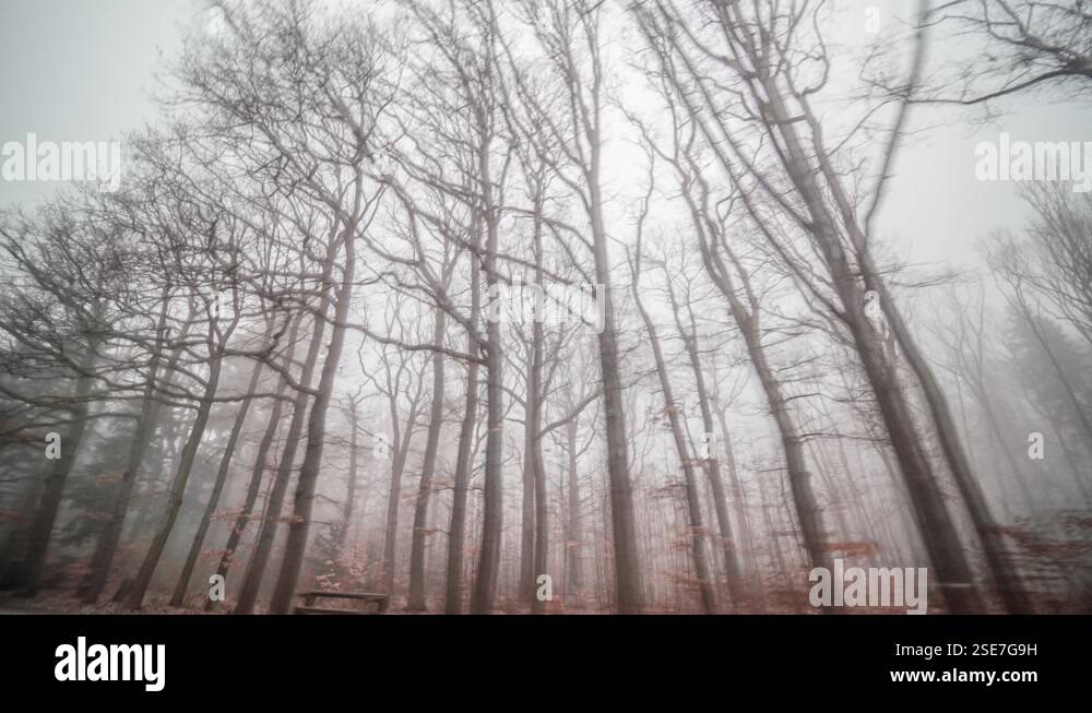Early spring in park Hvezda, in Prague. Neat green lawns in one of the ...