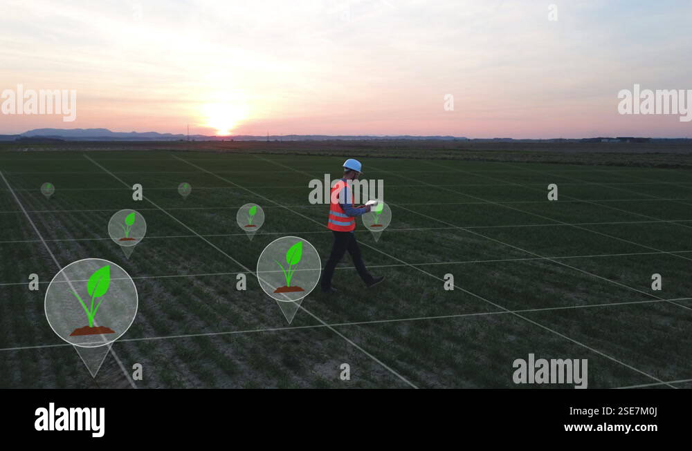 Digitalisation Stock Videos & Footage - HD and 4K Video Clips - Alamy