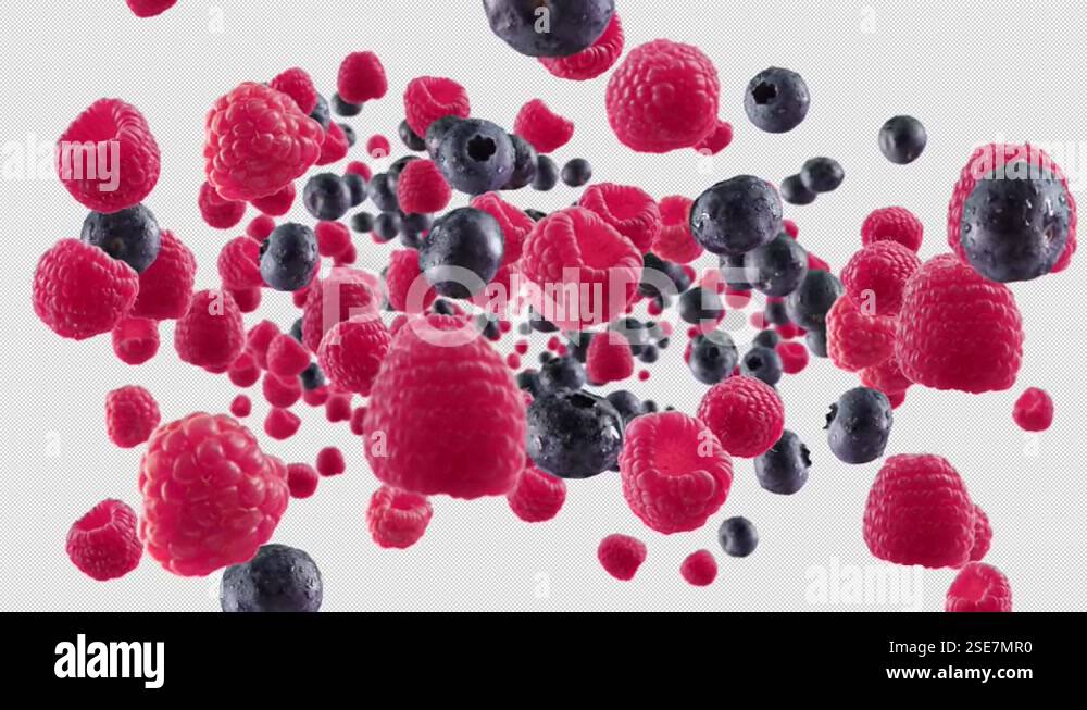 Burst of Raspberry Blueberry in White Background with Alpha Channel ...