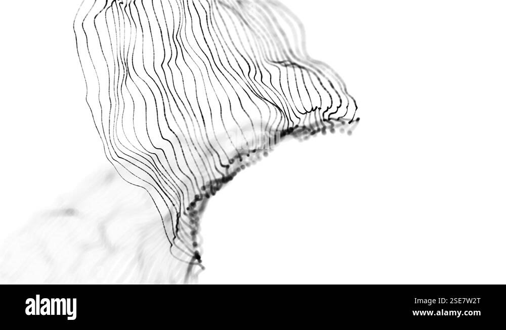 Black strings mesh waving over white background. Minimal Motion ...