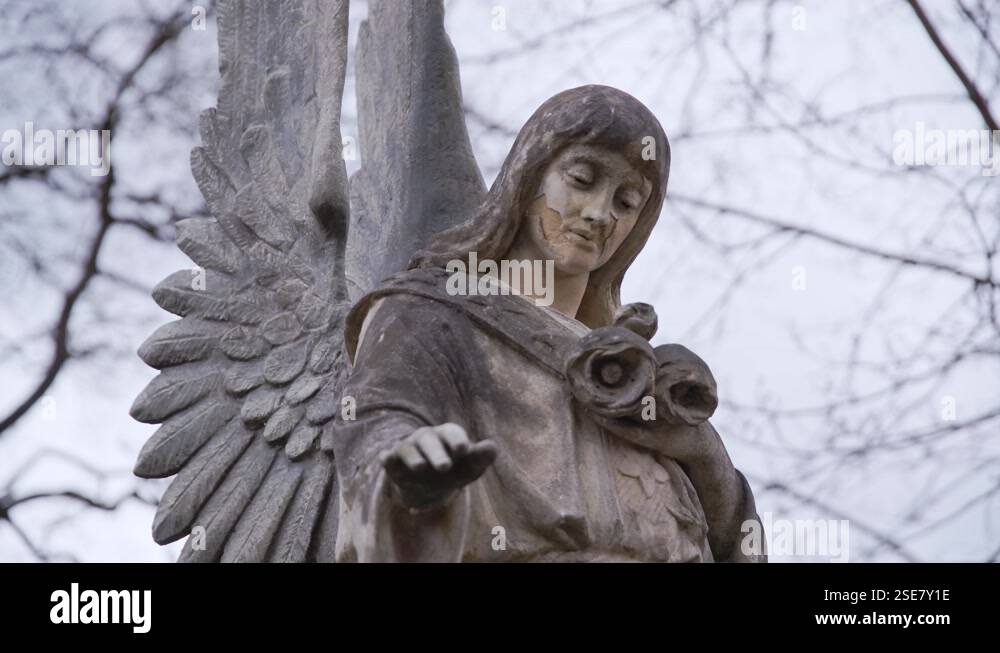 Stone angel face wings Stock Videos & Footage - HD and 4K Video Clips ...