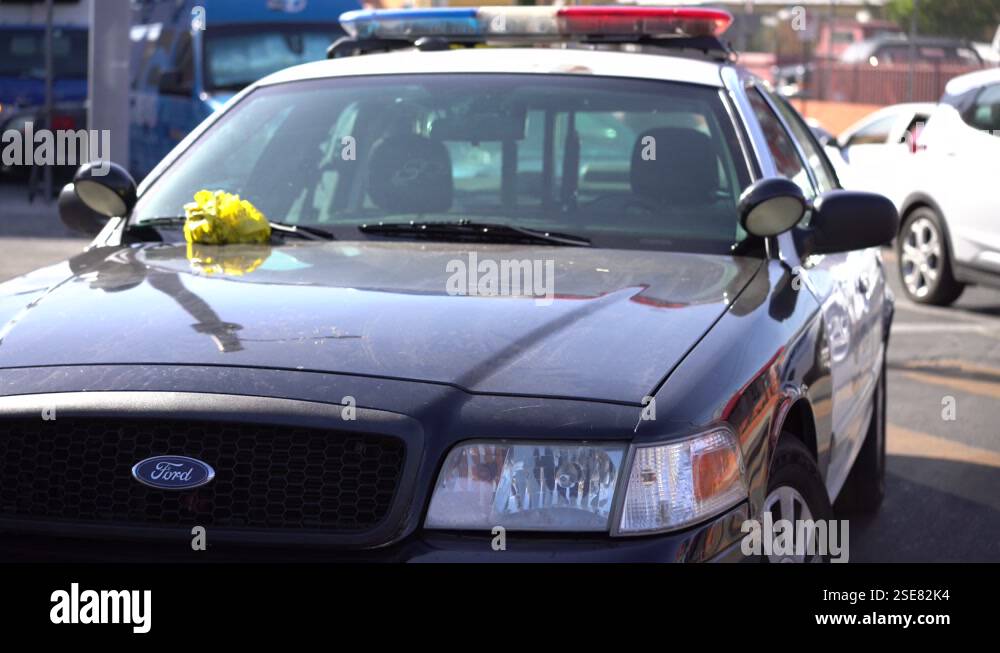 Lapd patrol car Stock Videos & Footage - HD and 4K Video Clips - Alamy