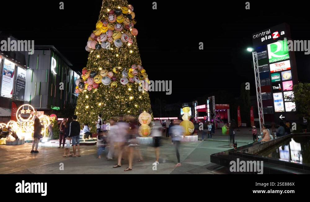 The standing people tree Stock Videos & Footage - HD and 4K Video Clips ...