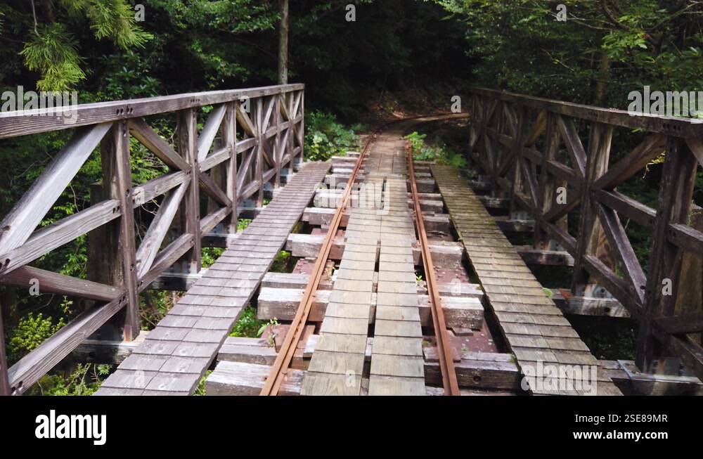 Old Logging Rail Bridge, Hiking Across Yakushima through Shiratani ...