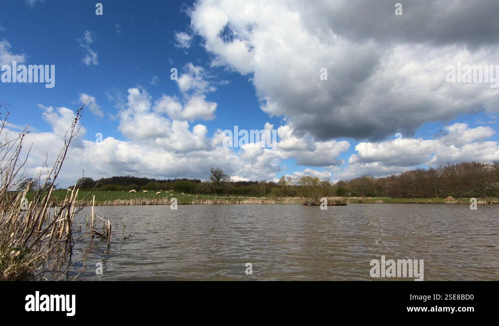 White clouds pass by over head at a man made Trout Fishing pool in ...