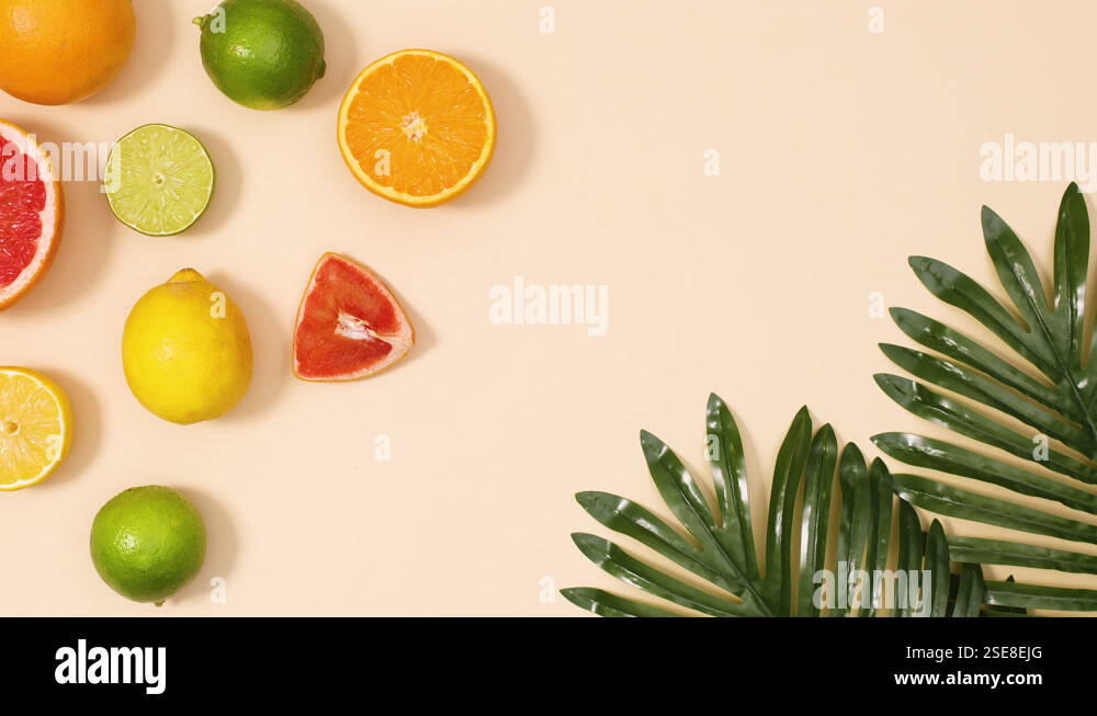 Summer arrangement palm leaves and citrus sliced fruits move. Stop ...