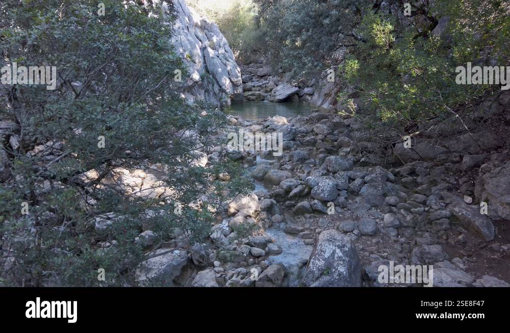 Reveal of small stream trickling past rocks in mountains of Grazalema ...