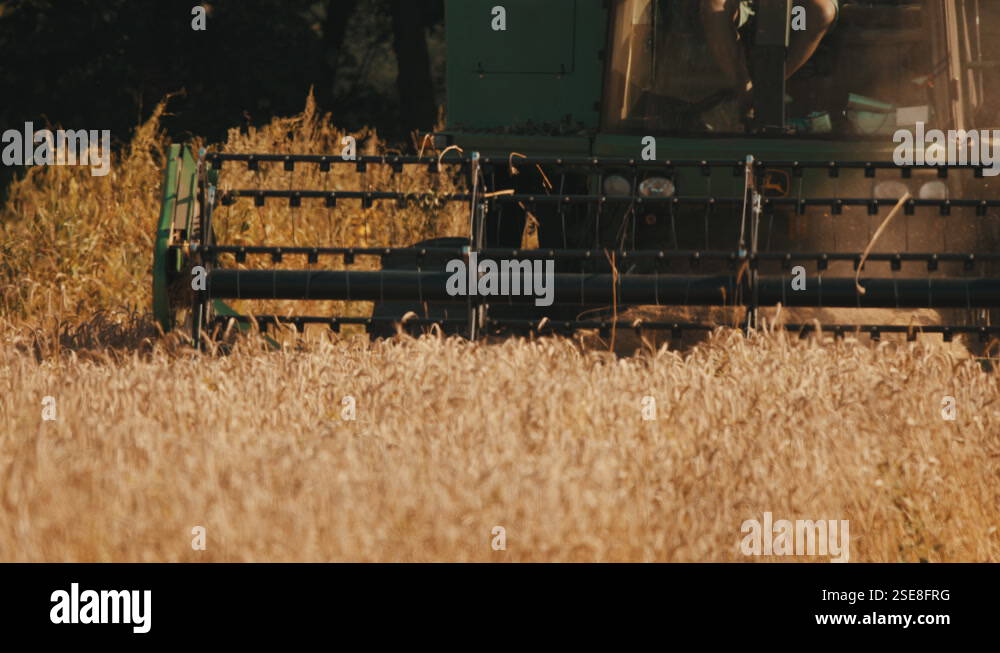 Cutter Bar Of A Green Combine Harvester Working In The Field ...