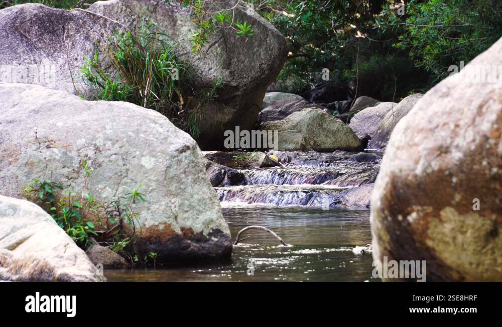 Clear brook rapids among boulders, scenery of water flowing with Stock ...
