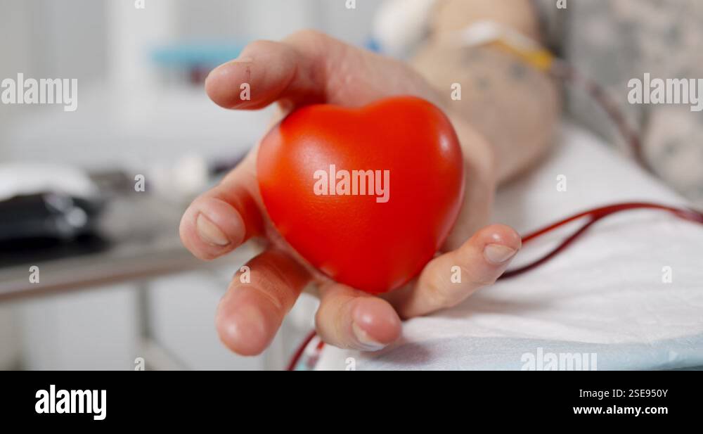 Close up of blood donor squeezing rubber bulb in form of heart in hand ...