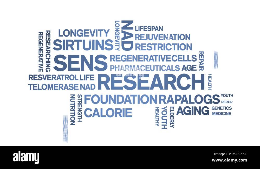 Sens Research Animated Tag Word Cloud,Text Design Animation seamless ...