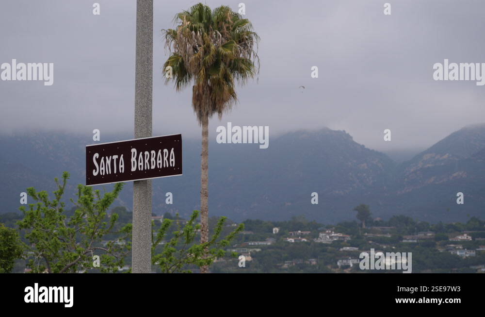 Santa Barbara with palm tree and hang glide Stock Video Footage - Alamy
