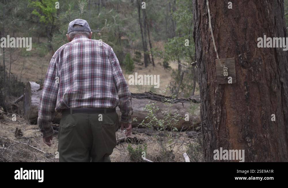 Old Man Walks with Limp Next to Tree with Electrical Socket in Rural ...