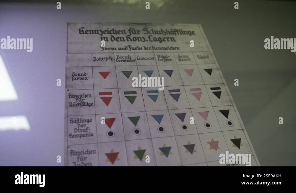 System of classification Stock Videos & Footage - HD and 4K Video Clips ...