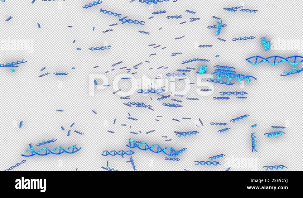 Floatingdnainbody Stock Videos & Footage - HD and 4K Video Clips - Alamy