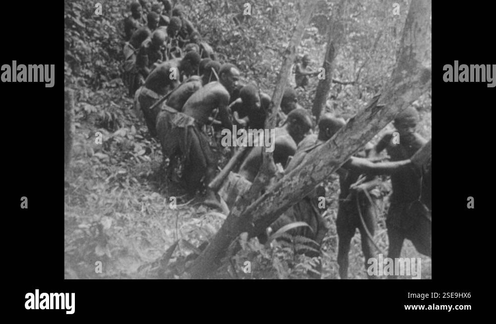 1940s: Child on rope swing on river bank. People pull child on rope ...
