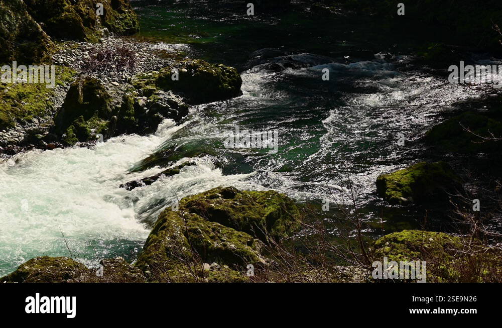 Elk River water flowing over rocks in untouched nature, Oregon. Static ...
